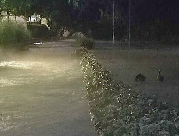 Ni los patos podían resistir la fuerza del agua en el barranco del ...
